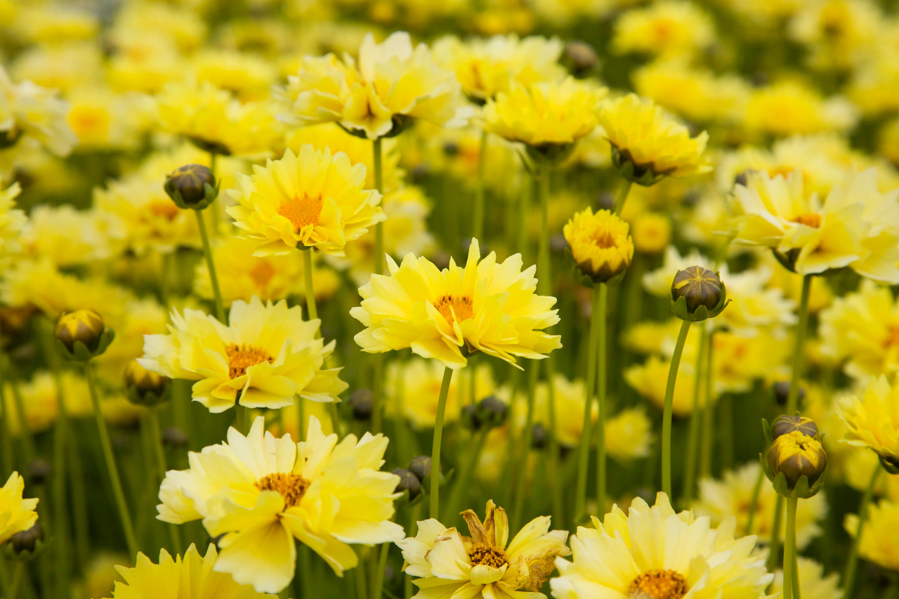 Ons Assortiment | Marco van Noort